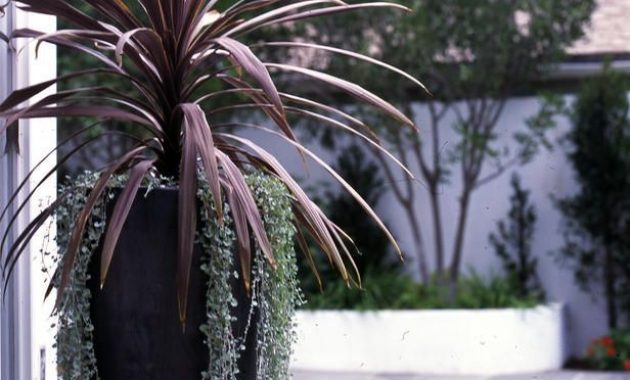 40 Cozy Decorative Garden Planters Design Ideas – ZYHOMY