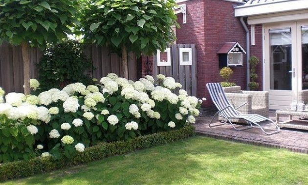40 Relaxing Small Garden Design Ideas
