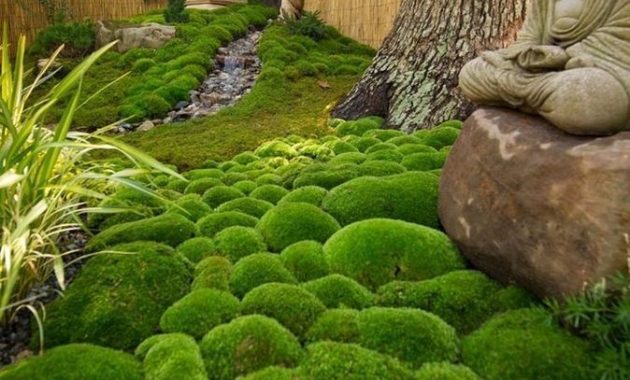 40 Relaxing Small Garden Design Ideas