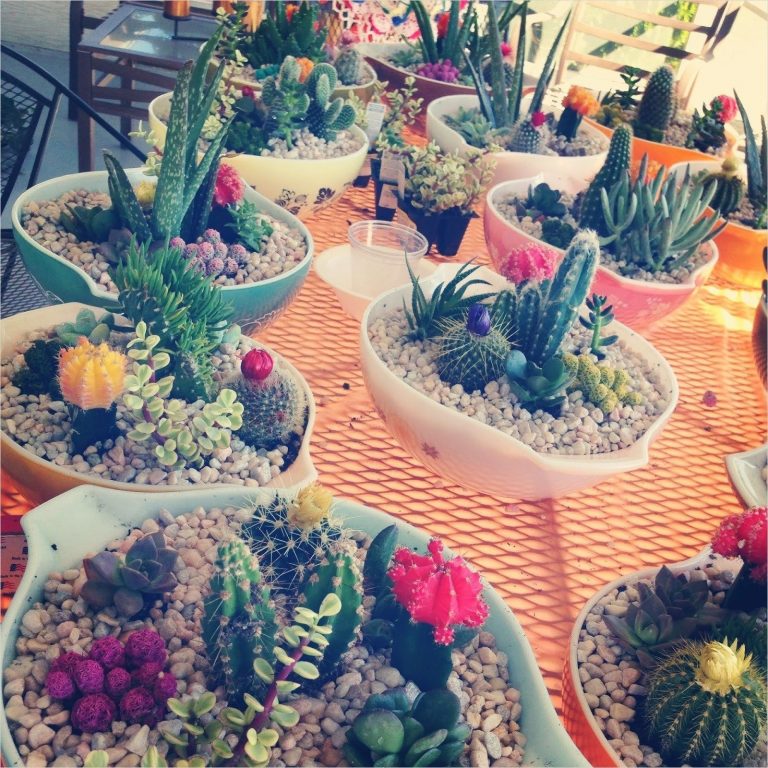 44 Wonderful Cactus Centerpieces Ideas