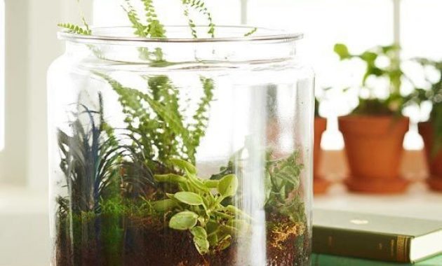 45 Simple Small Flower Gardens And Plants Ideas | ZYHOMY