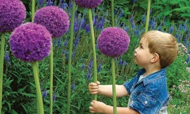 45 Simple Small Flower Gardens And Plants Ideas | ZYHOMY