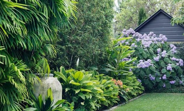 47 Luxury Backyard Designs Ideas