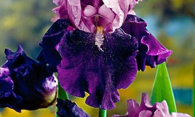 41 Pretty Floral Garden Decor Ideas