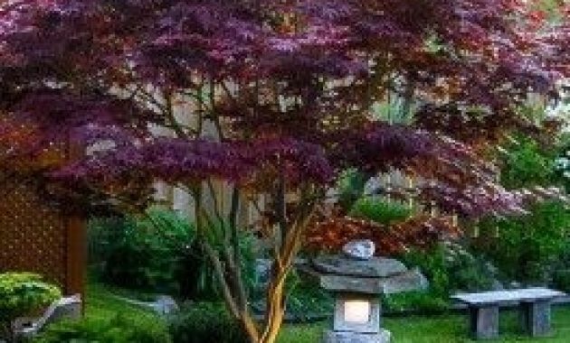 42 Cute Front Yard Landscape Ideas For 2019
