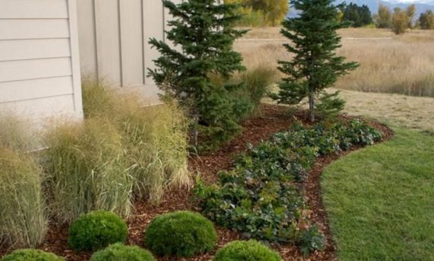 42 Cute Front Yard Landscape Ideas For 2019