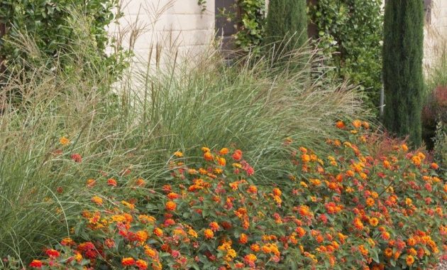 42 Cute Front Yard Landscape Ideas For 2019