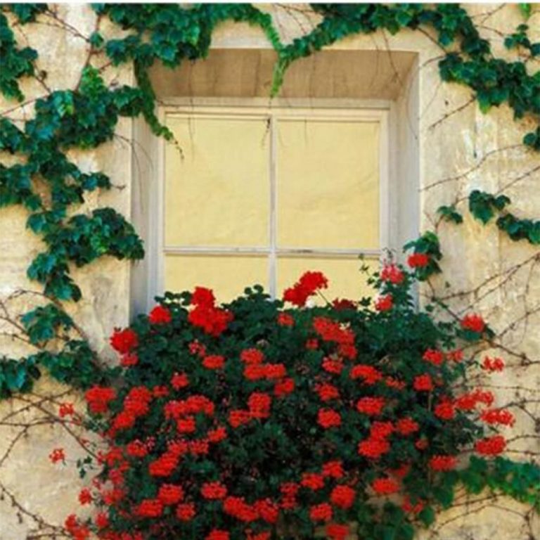 42 Lovely Window Design Ideas With Vase Flower Ornament