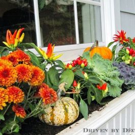 42 Lovely Window Design Ideas With Vase Flower Ornament