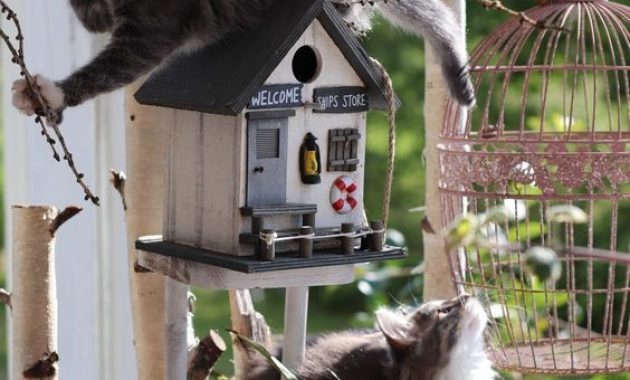 49 Magnificient Stand Bird House Ideas For Garden | ZYHOMY